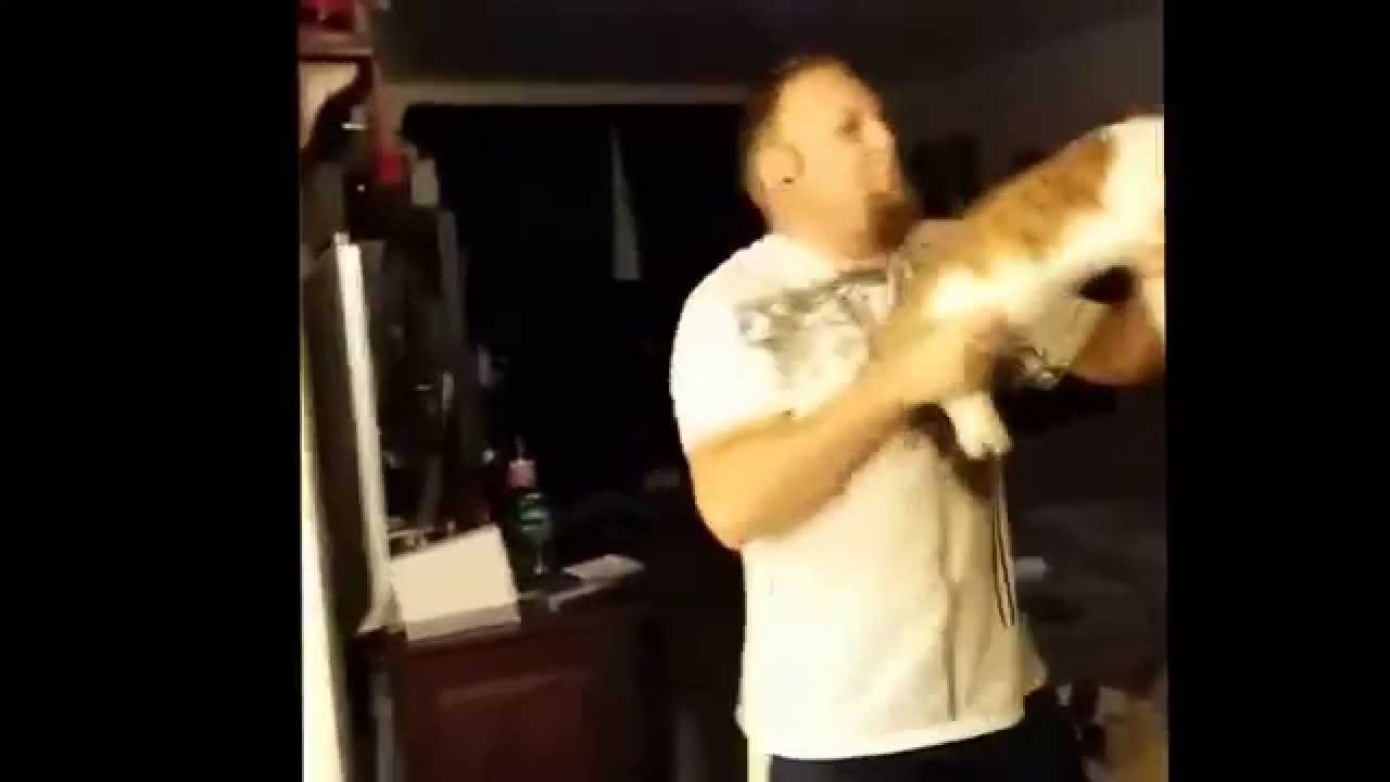 Cat machine gun - YouTube