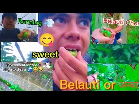 Belauti 0r Amba Chorda K Vayo Yo😬💨 - YouTube