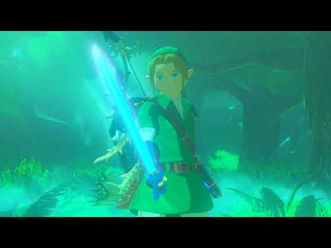 Legend of Zelda Breath of The Wild-Master Sword's True Splendor