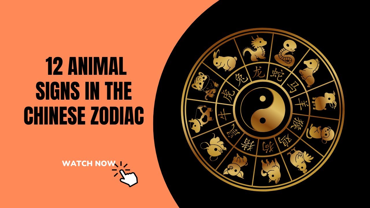 Unlocking the Mysteries of the 12 Animal Signs in the Chinese Zodiac ...