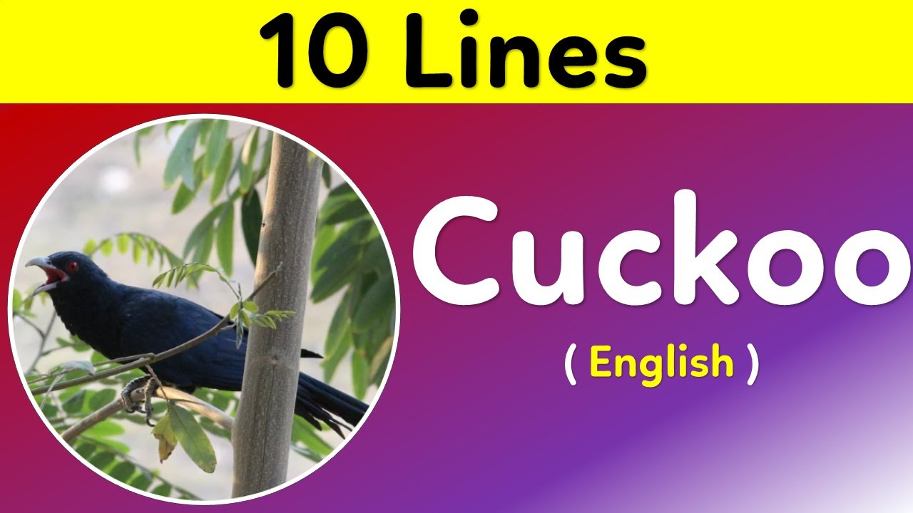 10 Lines About Cuckoo In English Few Lines About Cuckoo Bird Koyal 10-lines-about-cuckoo-in-english-few-lines-about-cuckoo-bird-koyal