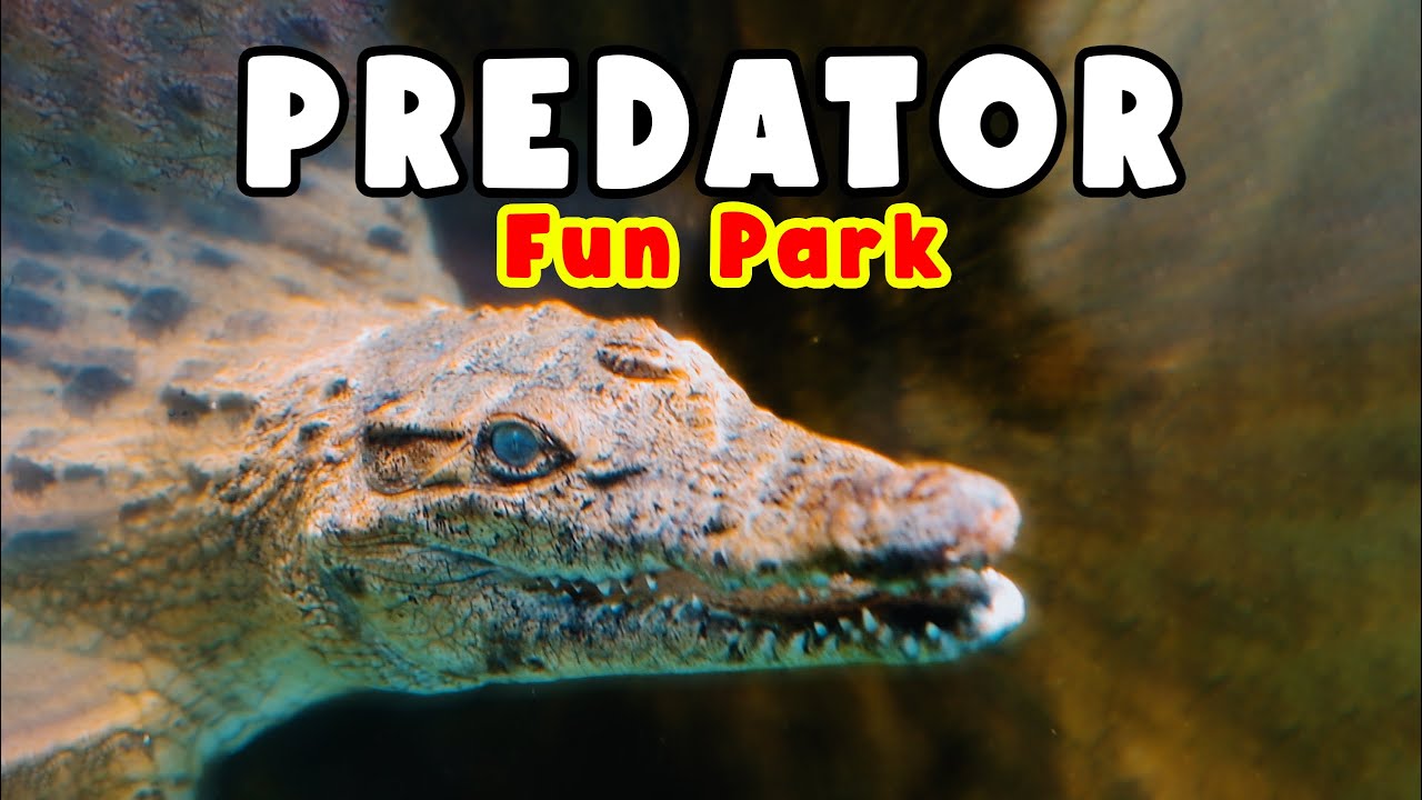 🔴 PREDATOR FUN PARK dari JATIM PARK Group Batu, Malang Jawa Timur ...