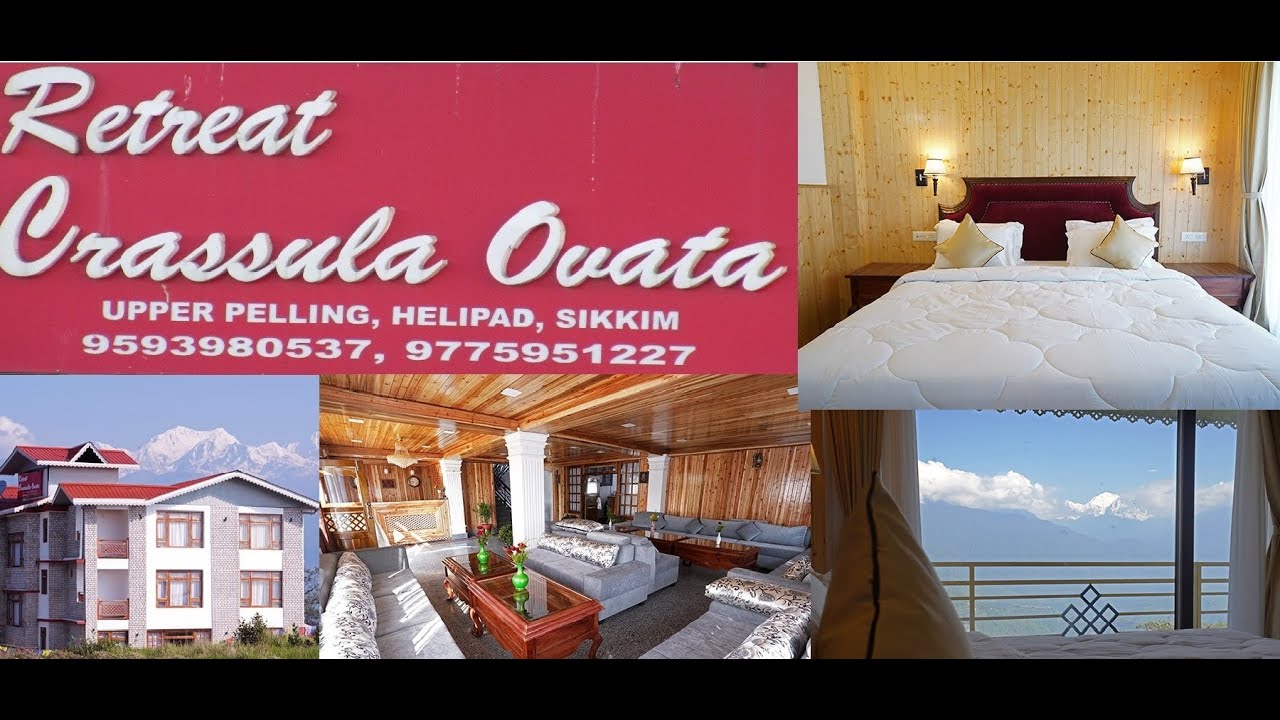 HOTEL RETREAT CRASSULA OVATA UPPER PELLING HOTELS | MOUNTAIN VIEW HOTEL ...