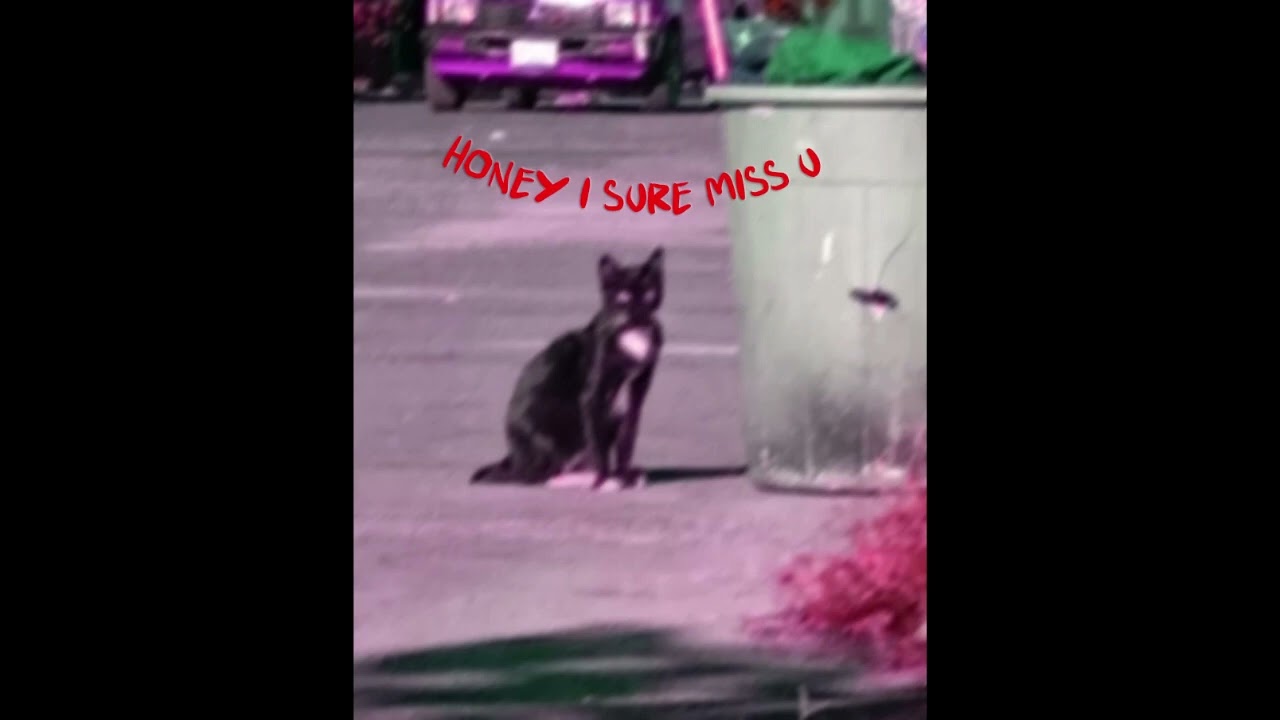 Honey I sure miss u - YouTube