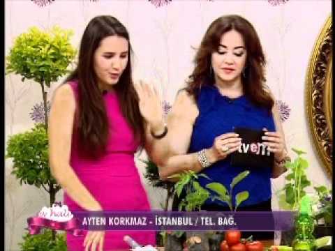 Tvem, Oya Aydoğan, Ev Hali, Aytul Temiz 2-1.wmv
