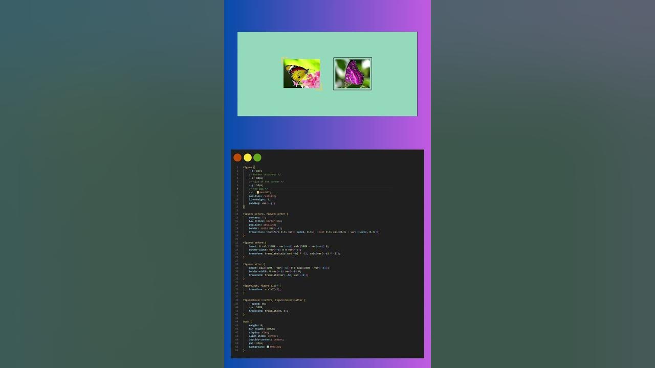 Image Border Hover Effect Using HTML CSS #shorts - YouTube