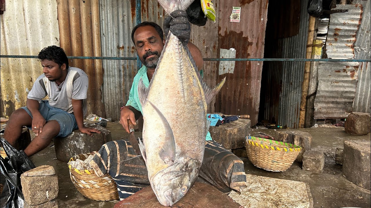 BIG PARRAI FISH 🐟 KASIMEDU AMAZING FISH CUTTING SKILLS #fishcutting ...