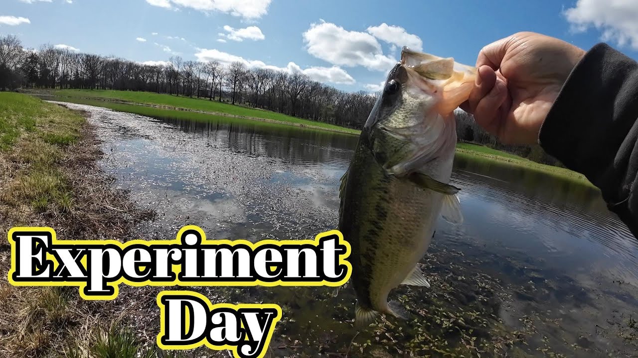 My New HARD CORE Worms. Do They Work? - YouTube