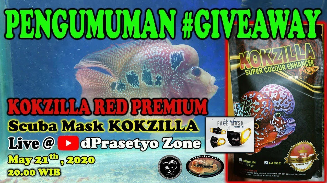 PENGUMUMAN #GIVEAWAY PELET KOKZILLA RED PREMIUM + SCUBA MASK KOKZILLA ...