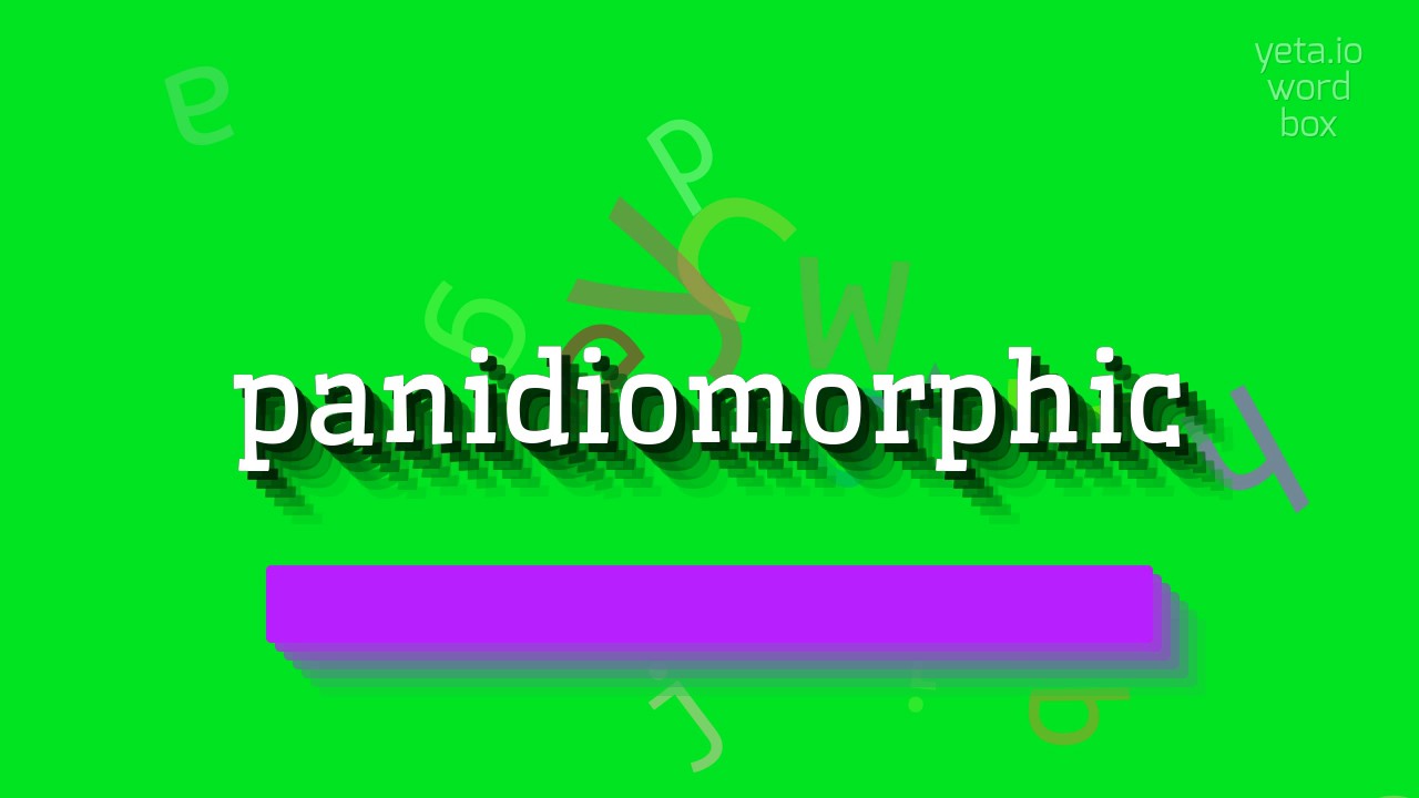 How to say "panidiomorphic"! (High Quality Voices) - YouTube