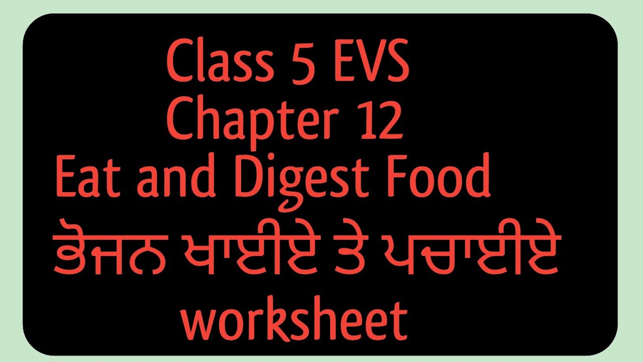 Class 5 EVS Chapter 12 Eat and Digest Food || ਭੋਜਨ ਖਾਈਏ ਤੇ ਪਚਾਈਏ ...