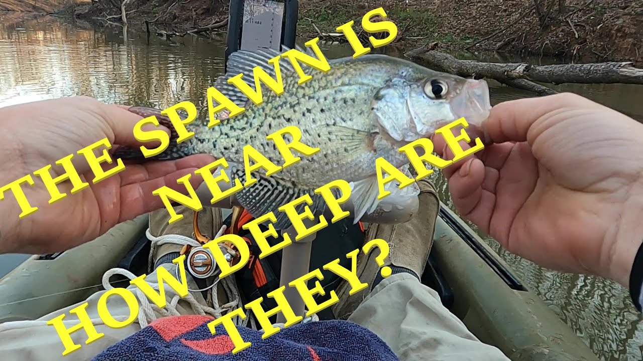 CRAPPIE SPAWN/ HOW DEEP ARE THEY? ARKANSAS RIVER/ WHITE OAK BAYOU - YouTube