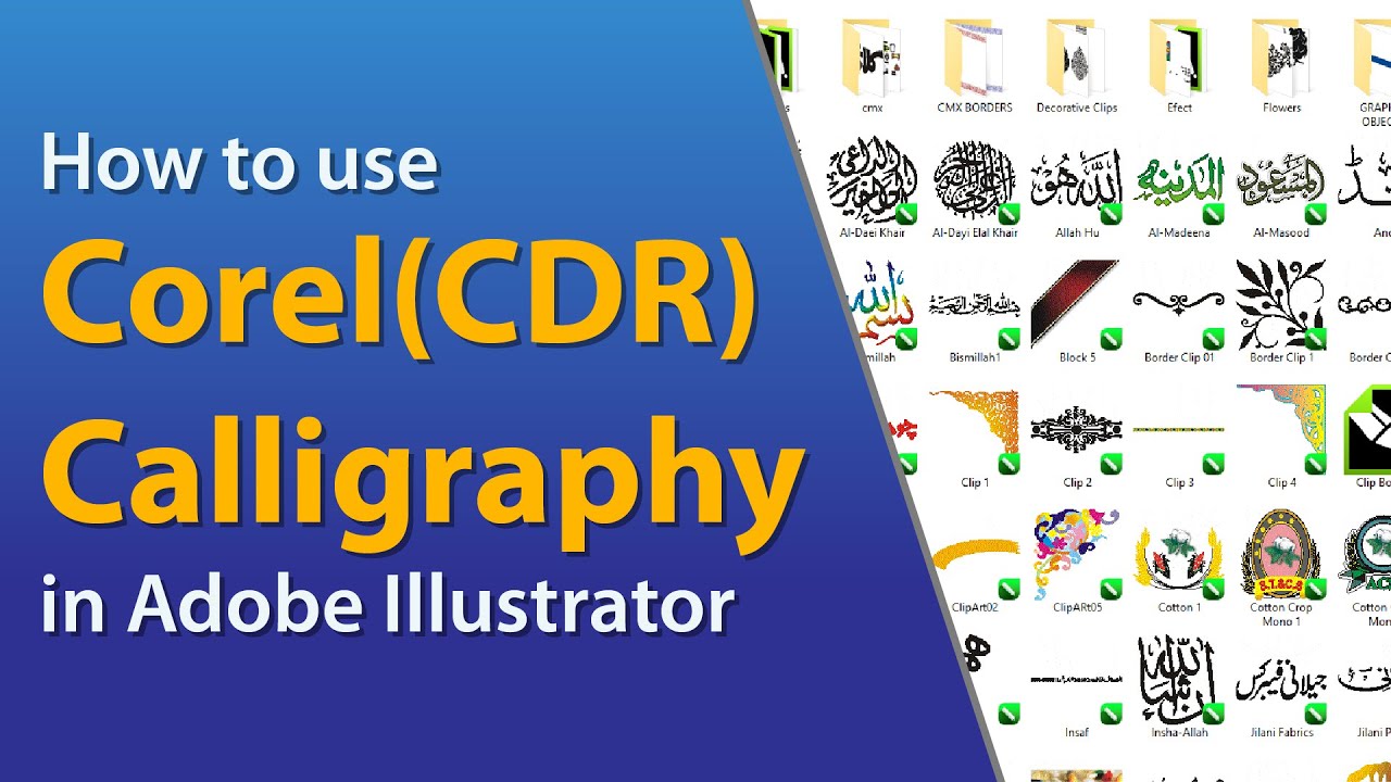 How to use Corel(CDR) Calligraphy in Adobe Illustrator - YouTube