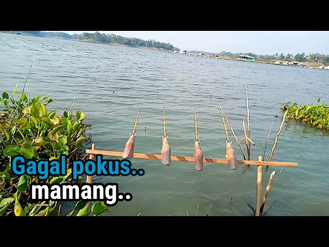 Gagal pokus||Sentuhan lembut ikan waduk saguling