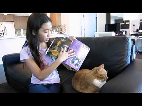 The Real Princess Diaries - YouTube