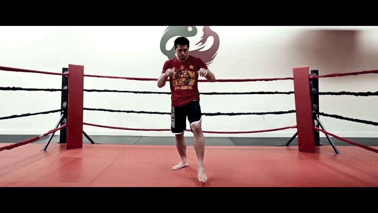 Mixed Martial Arts Moves Part 1 - The Thai Boxing Knee - YouTube