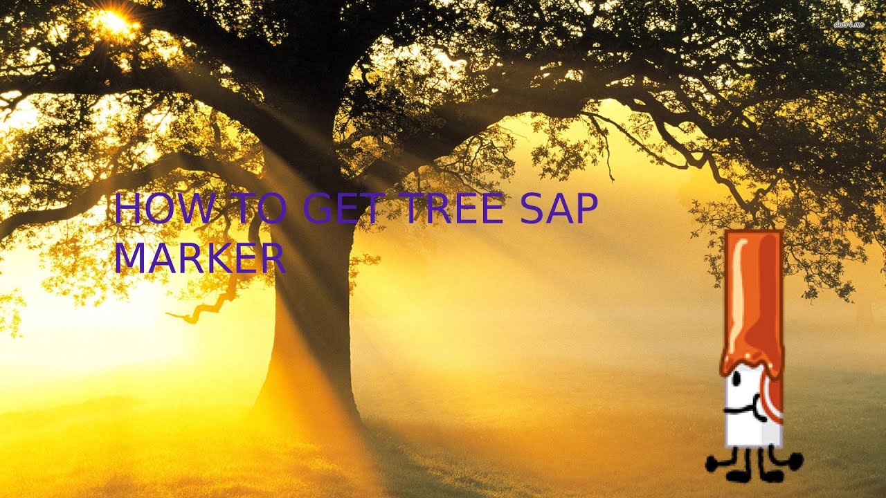 tree sap marker - YouTube