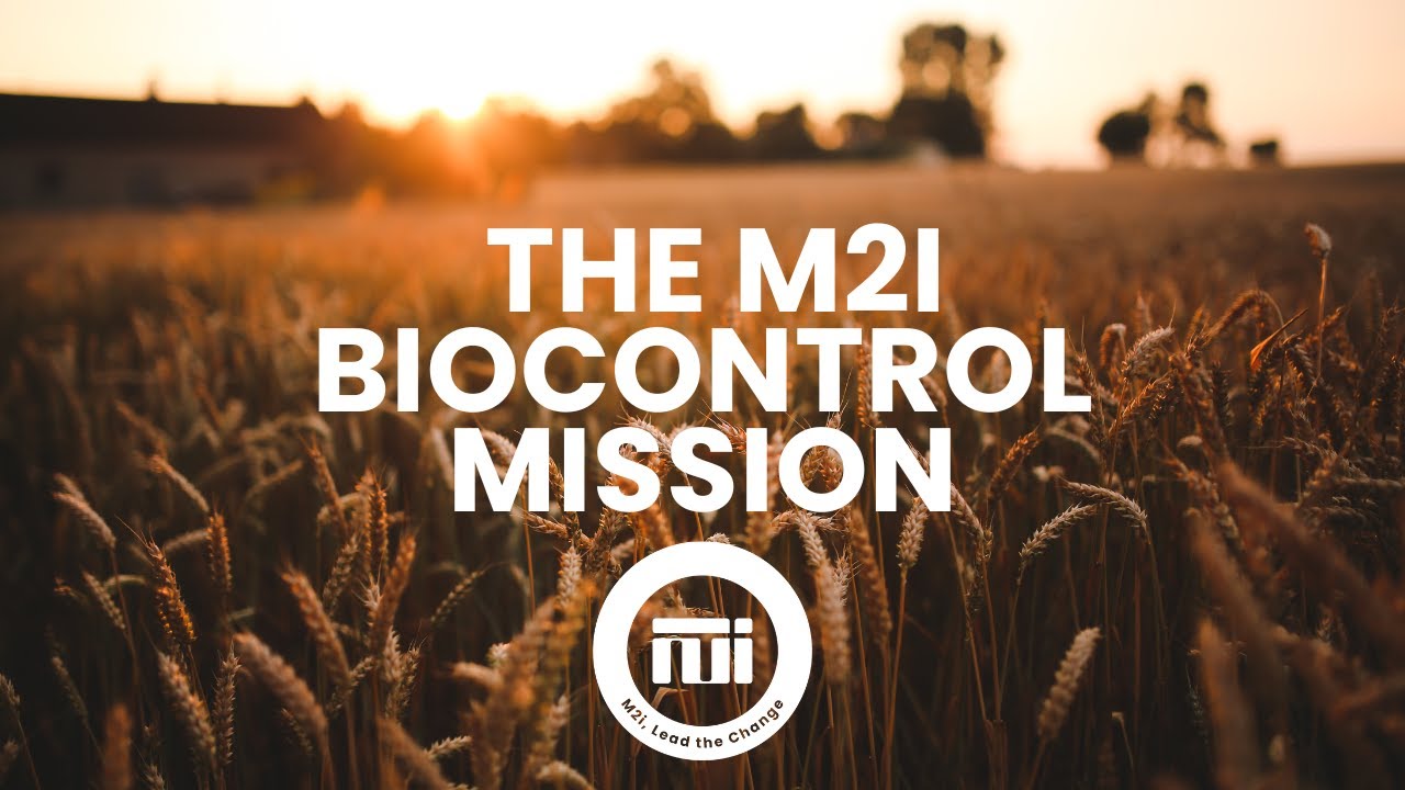 Our mission - M2i Biocontrol - YouTube