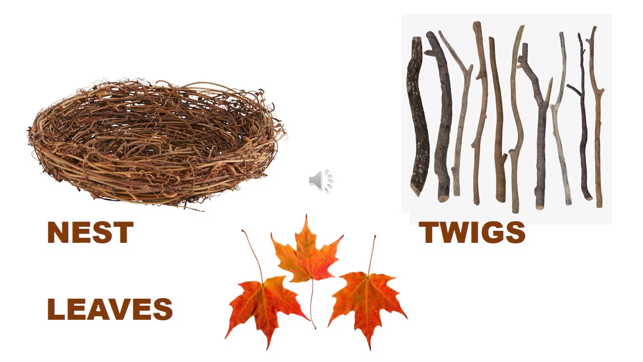 WINTER TALE part 1 - YouTube