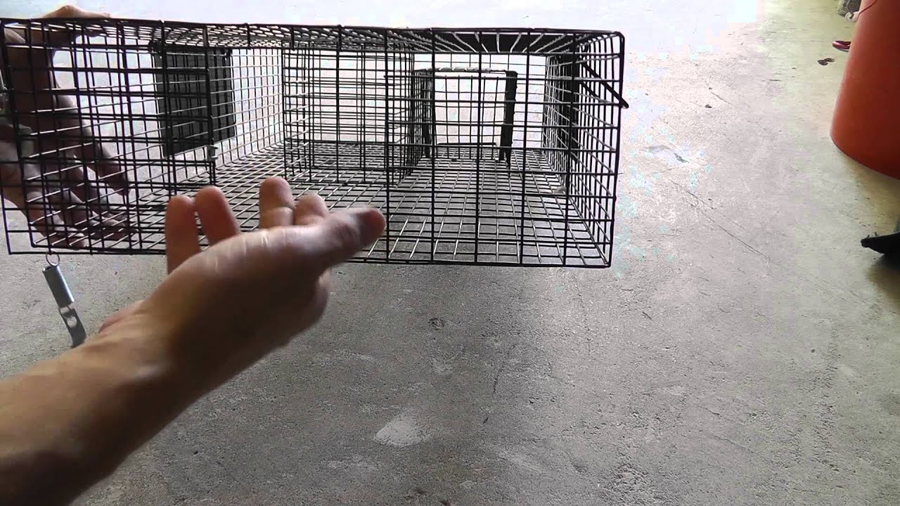 Rugged Ranch Ratinator rat trap review and weaknesses - YouTube