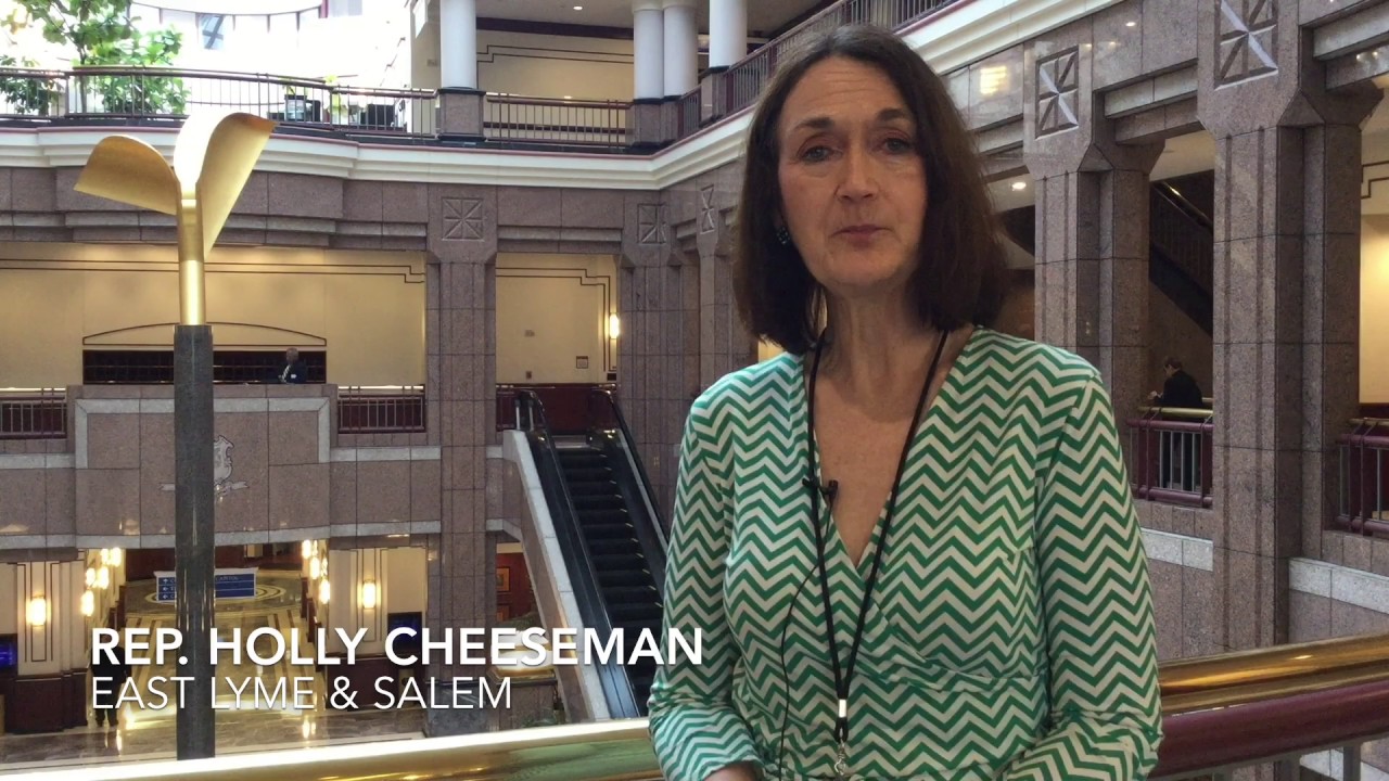 Rep. Cheeseman on "Confident Connecticut" Budget Plan - YouTube