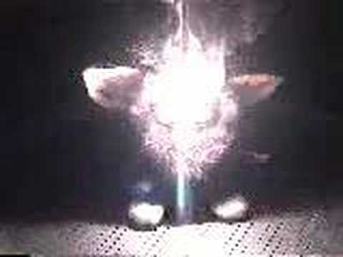 Furby in a Microwave - YouTube