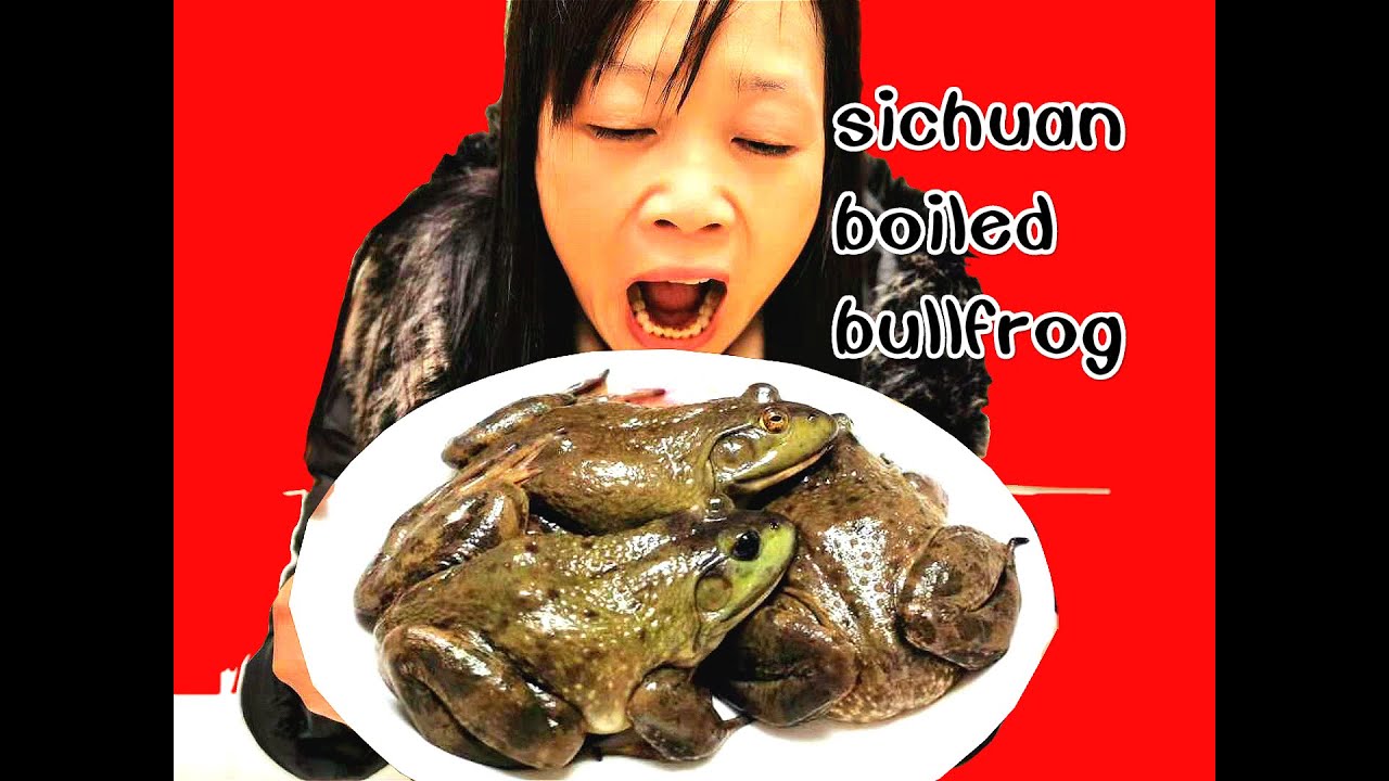 boiled bullfrog is super delicious/my mom couldn't resist the ...