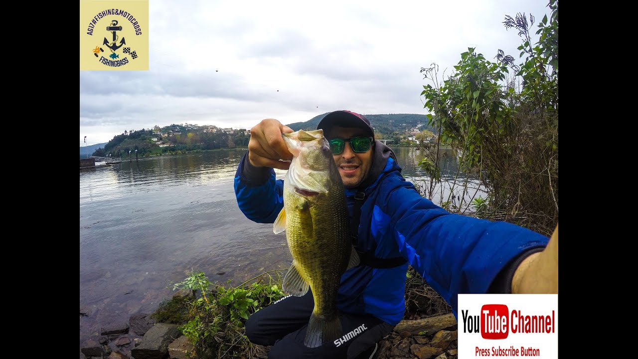 PESCA AOS ACHIGÃS DE OUTONO NO DOURO (BASS FISHING)🐟🎣 - YouTube