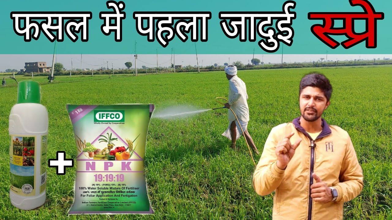 iffco nano urea + npk 19 19 19 ।। npk fertilizer । 19 19 19 । nano ...