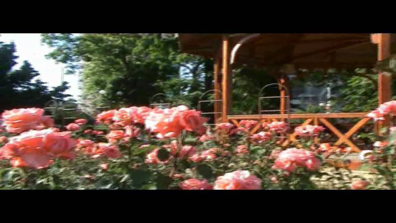 Imagini din orasul Bacau - YouTube