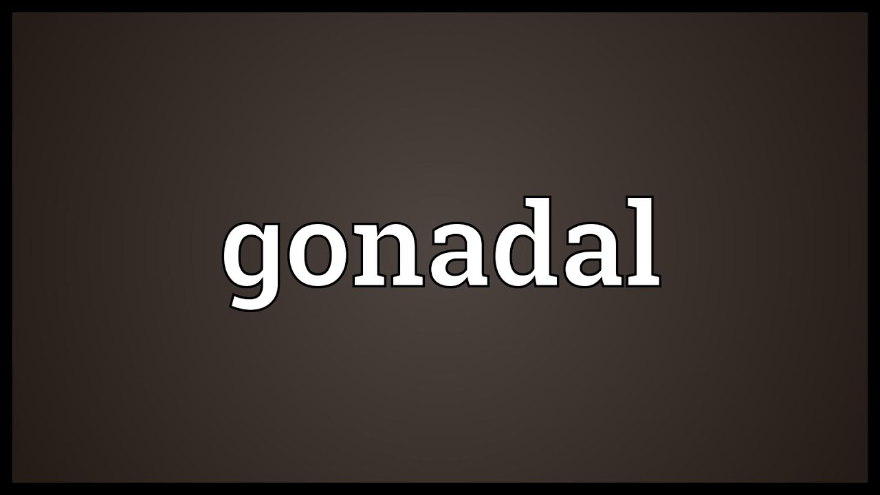 Gonadal Meaning YouTube Gonadal Meaning YouTube