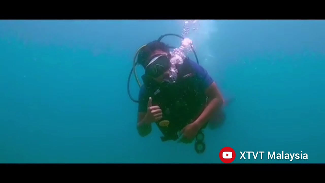 Awesome Scuba Diving in Pulau Bidong - YouTube