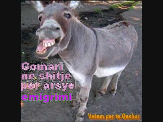 Foto Per Te Qeshur