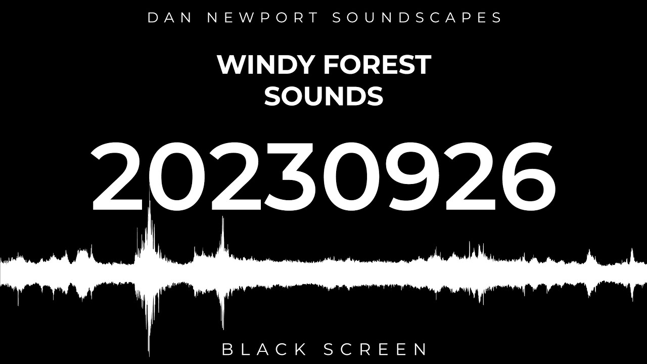 20230926 - Windy forest sounds - Soundscape by Dan Newport - YouTube
