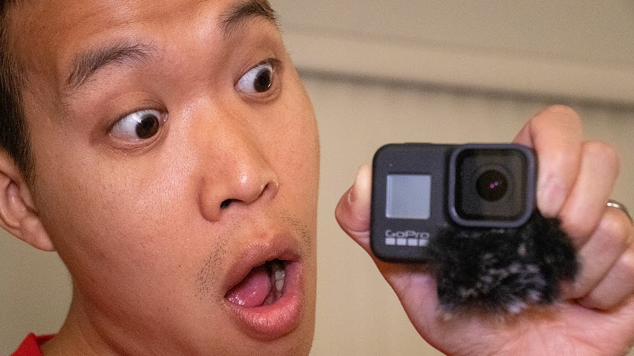 GoPro Hero 8 Black with Dead Cat Mod - YouTube