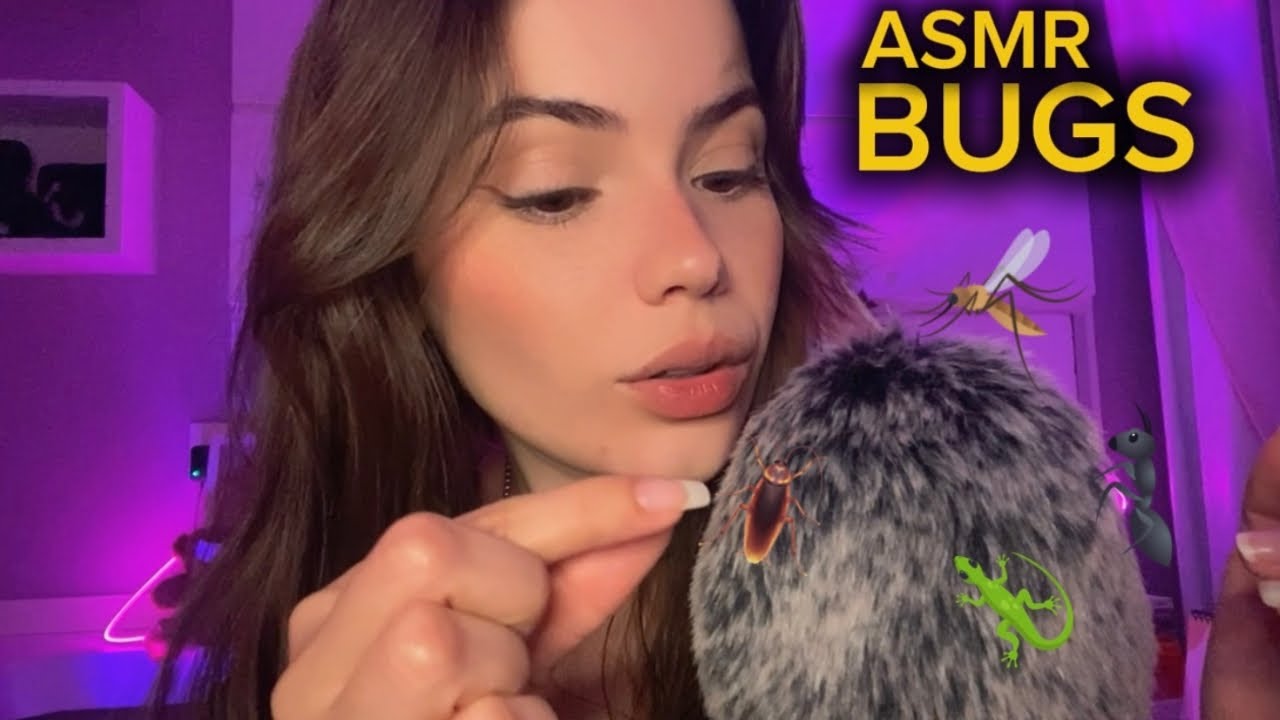 Asmr Bugs No Talking Youtube