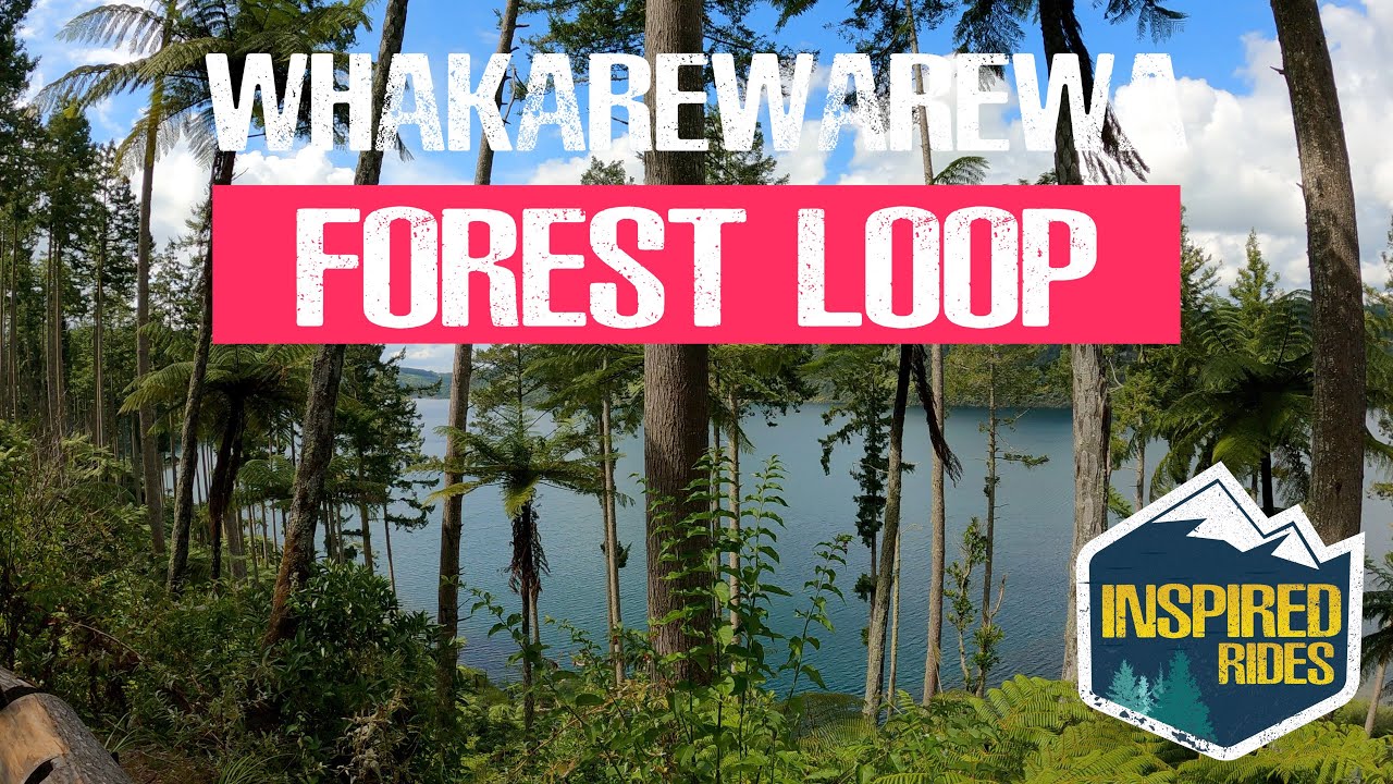 Riding the Whakarewarewa Forest Loop in Rotorua - MTB 4K - YouTube