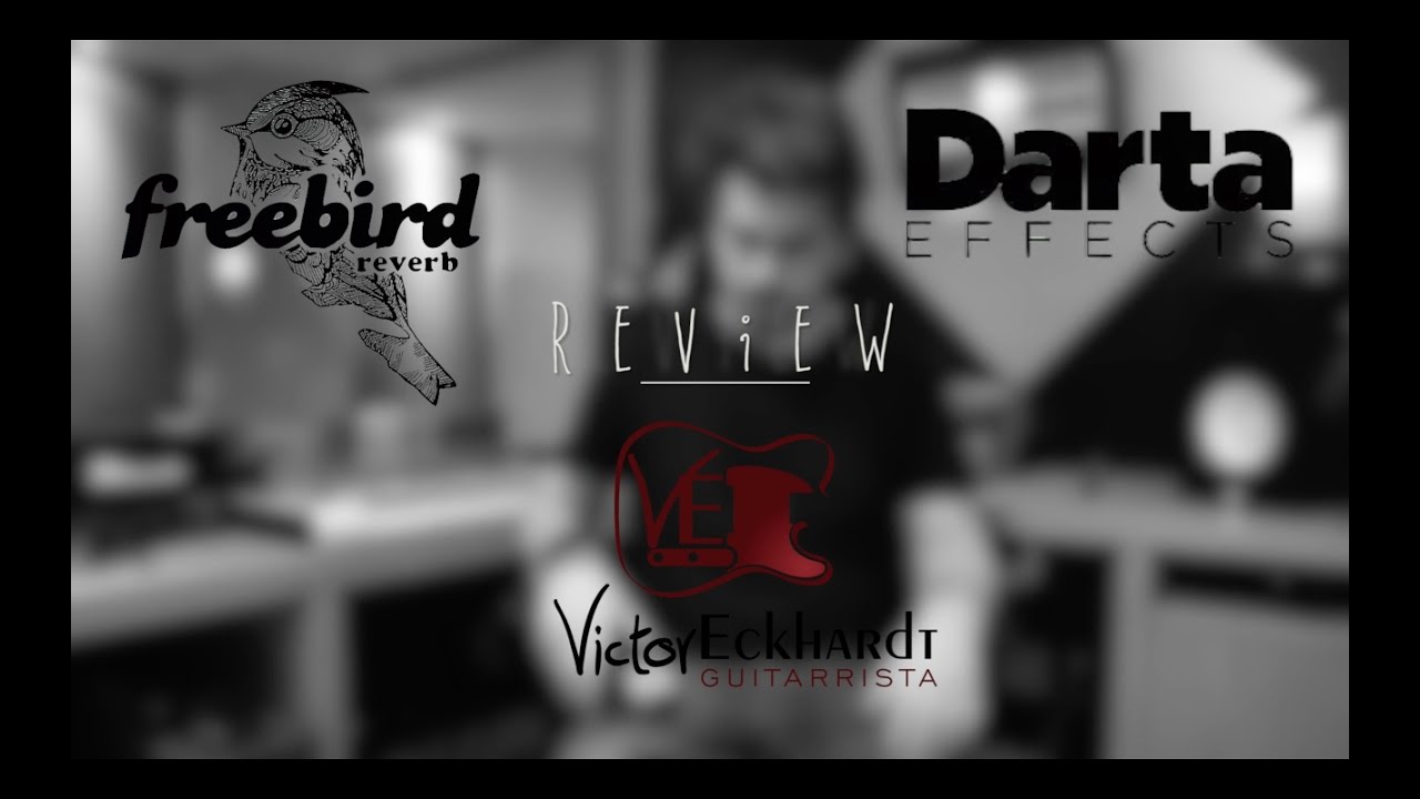 Victor Eckhardt / Freebird Reverb - Darta Effects Review (Parte 1) - YouTube