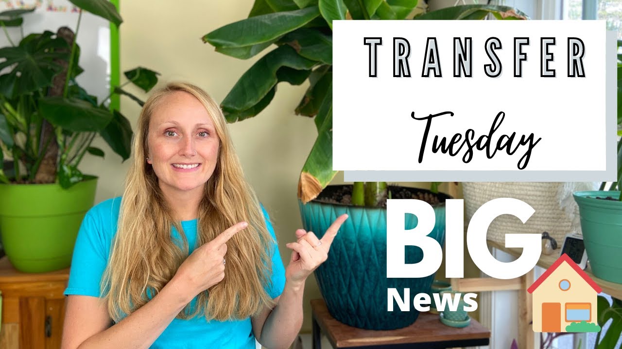 Transfer Tuesday | BIG money news and financial goal progress this week ...