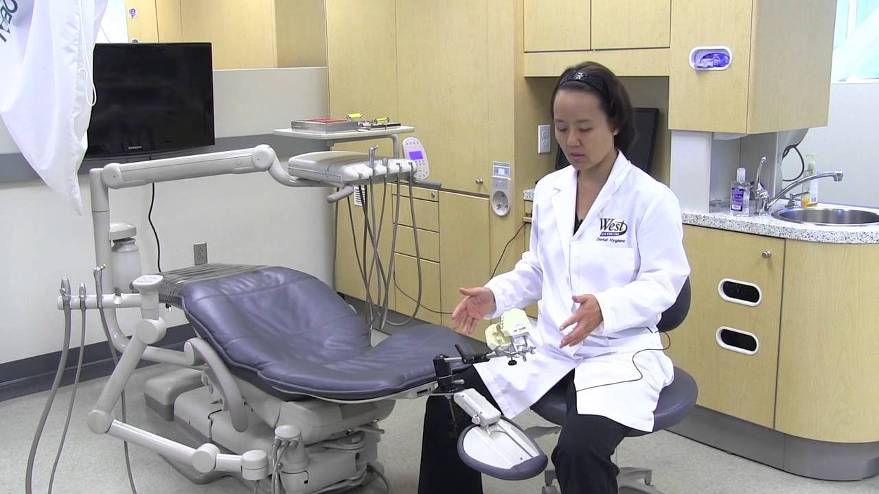 Typodont Set Up & Clock Positions - YouTube