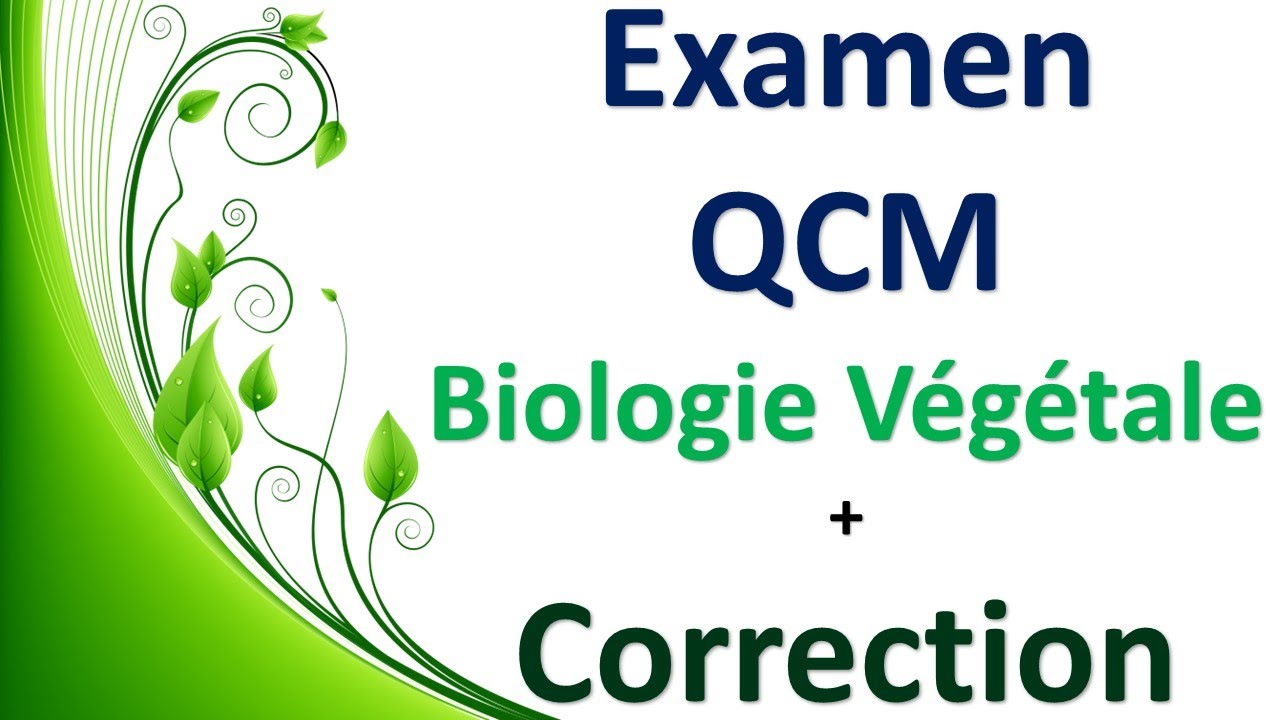 Examen QCM Biologie Végétale & Correction - YouTube