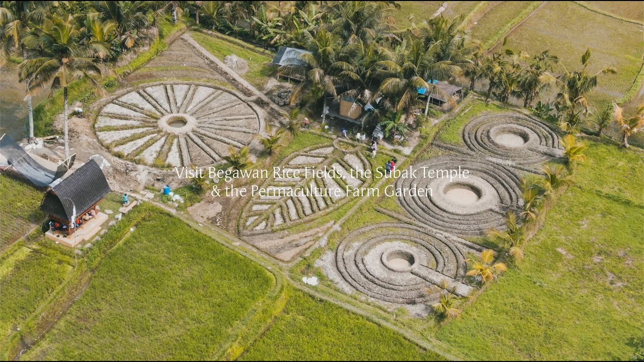 Visit Begawan Rice Fields, the Subak Temple & the Permaculture Farm ...