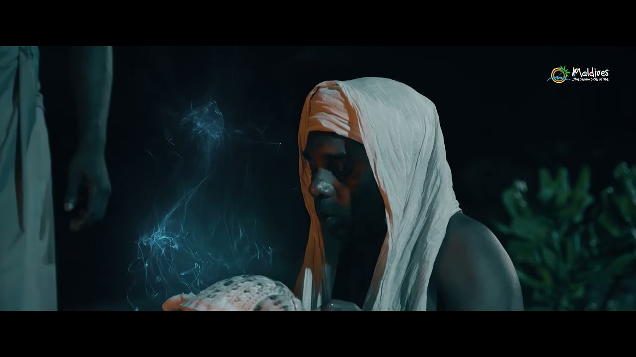 Stories of Maldives - Giant Triton Shell - YouTube