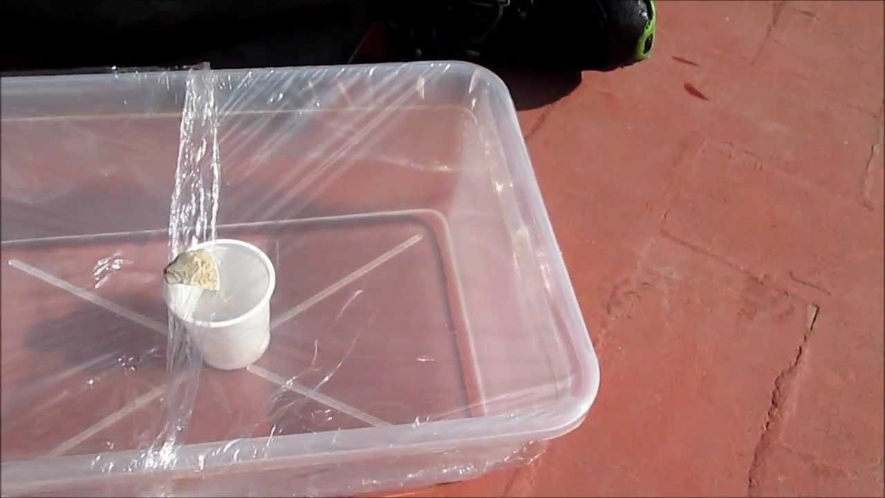 Destilador Solar 1 wpml - YouTube