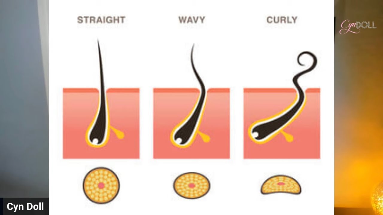 Curly Hair Follicle