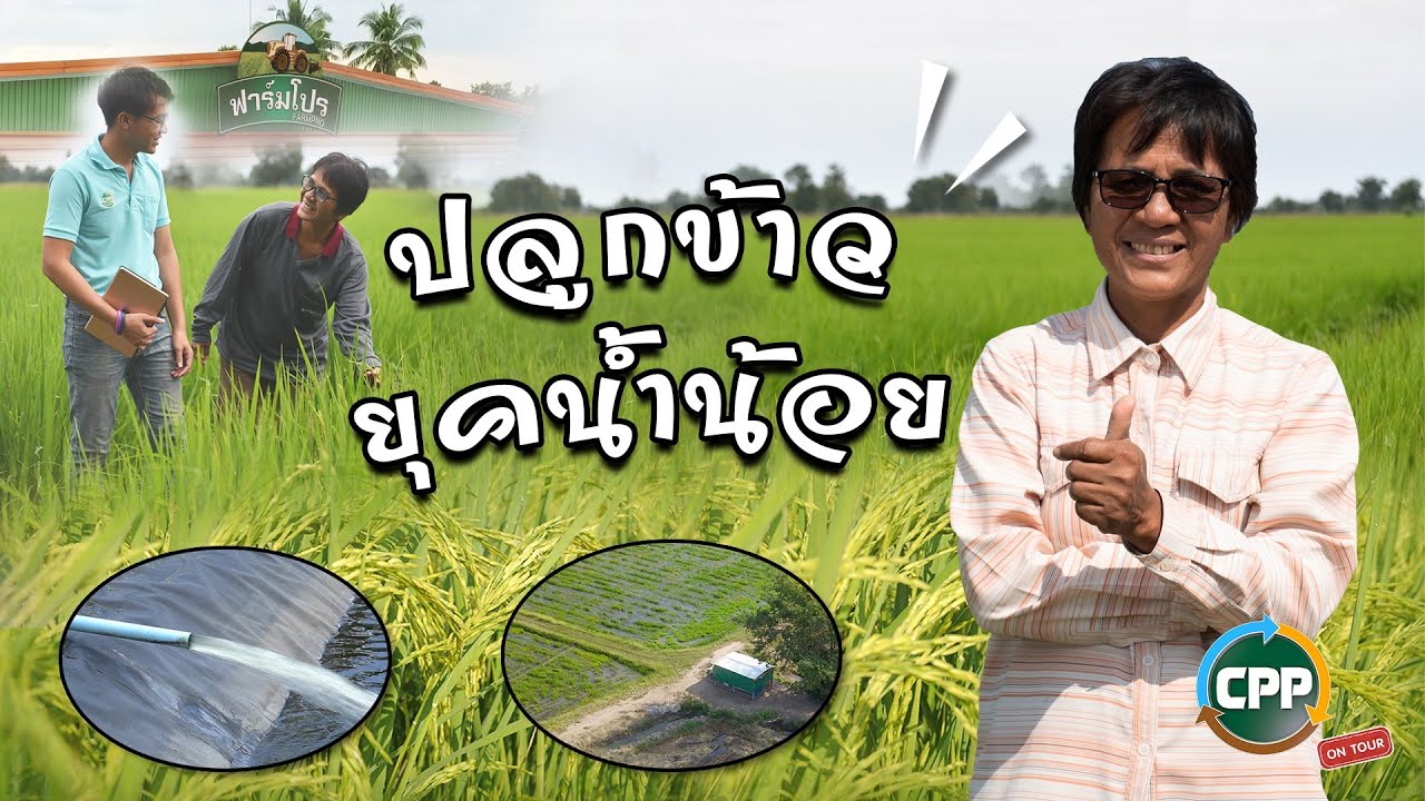 CPP Talk On Tour EP.3 : ปลูกข้าวยุคน้ำน้อย - YouTube