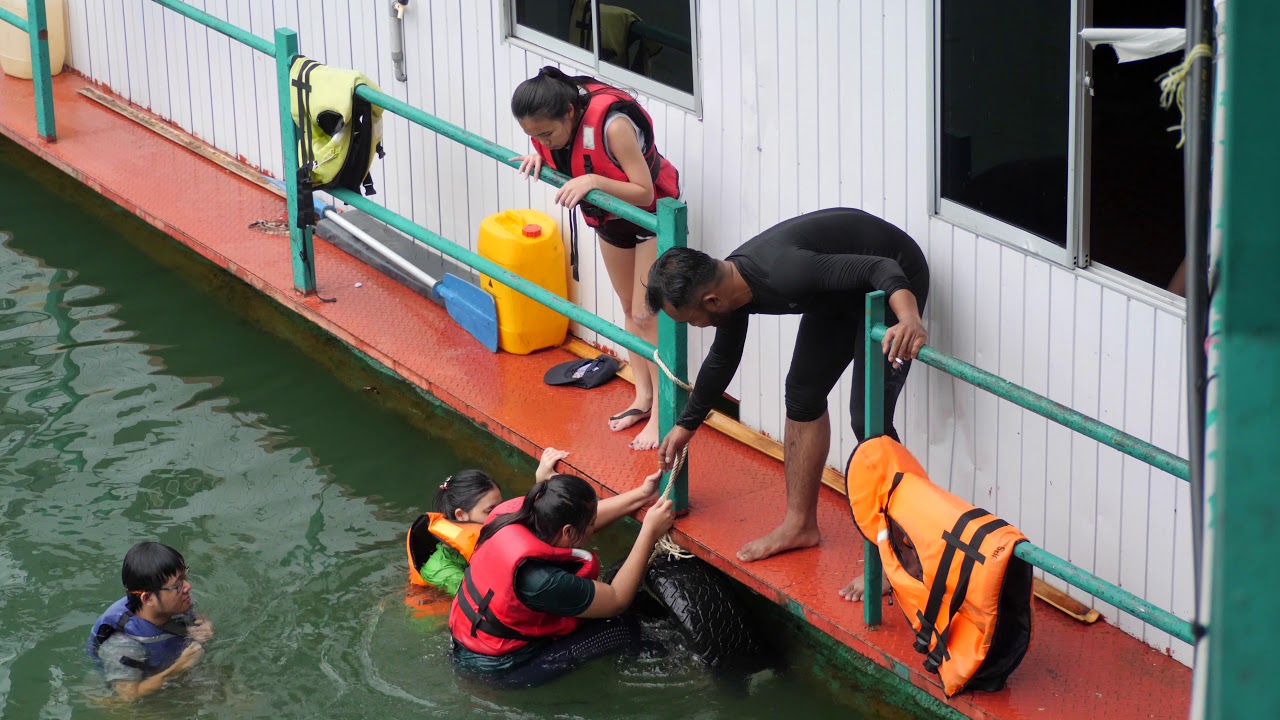Day 2.5 - Water Activities [EasyParcel Group Team Building 2019] - YouTube