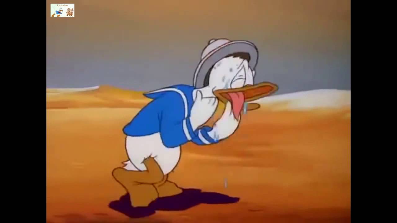 Donald duck vintage old retro cartoons full episodes - Cip & Dale Goofy ...