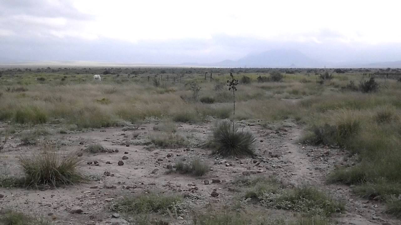 West Texas Landscape - Marfa, Texas - YouTube