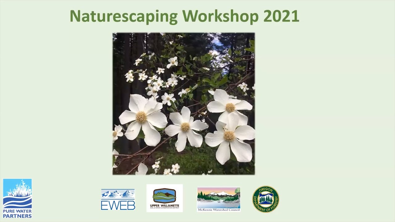 Pure Water Partners Naturescaping Class 2 - YouTube